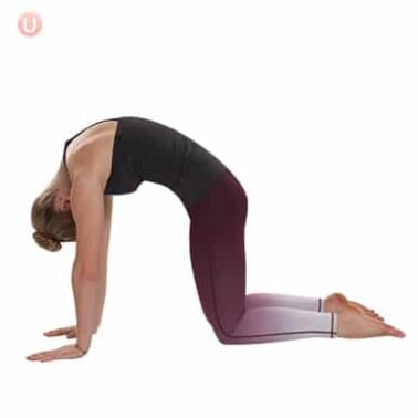 4 Amazing Back Stretches to Relieve Pain and Tension - Get Healthy U